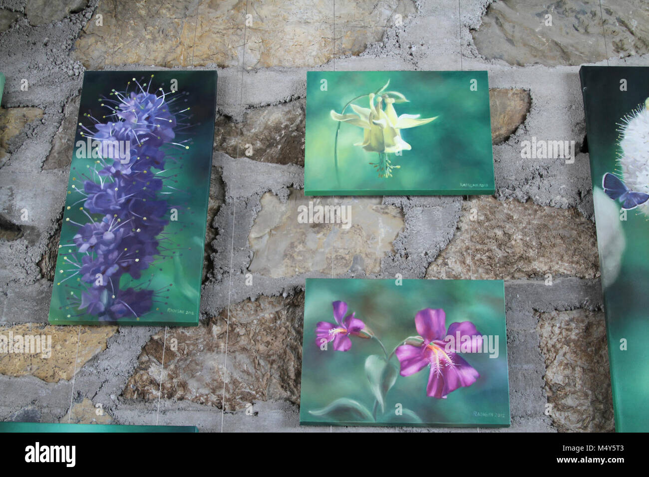 Logan Pass exhibit.Sub Alpine flower splendor - Ray Radigan Stock Photo ...