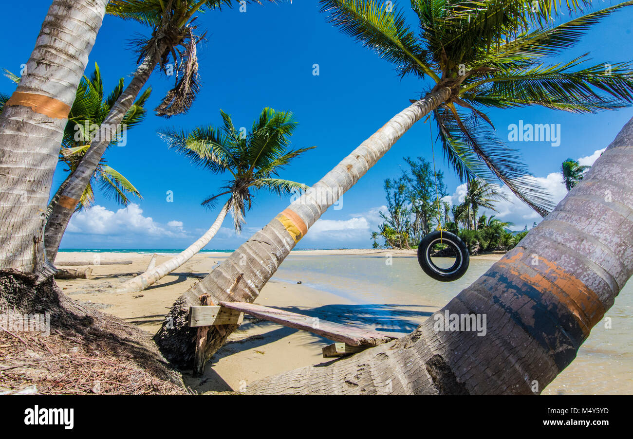 A rustic swing and bench to enjoy the beach under the palm trees Stock ...