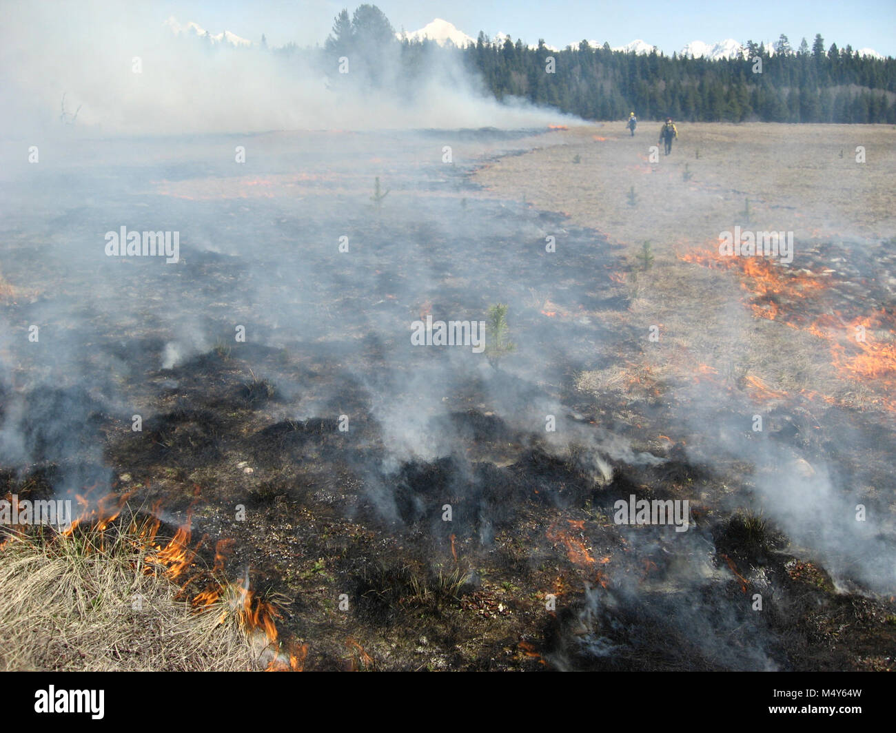 Prescribed Burn, Big Prairie, North Fork Area Stock Photo - Alamy
