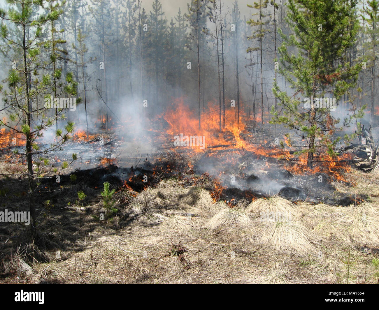 Prescribed prairie burn hi-res stock photography and images - Alamy