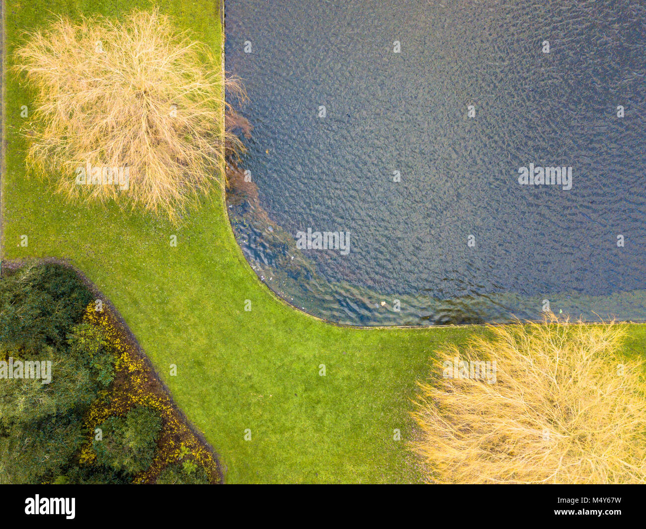 Aerial view detail park with pond and trees Stock Photo - Alamy