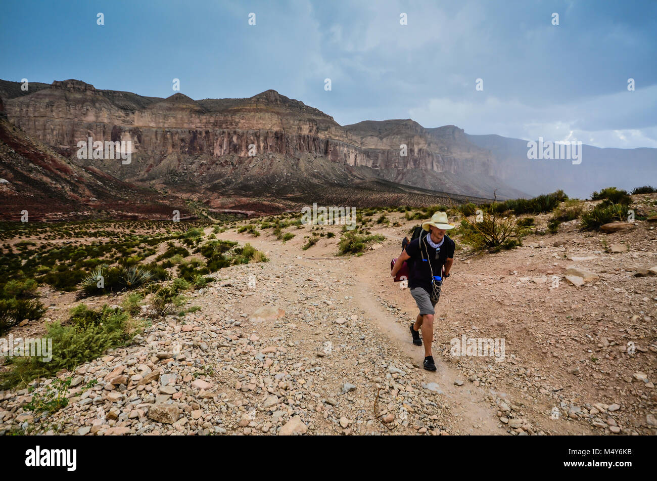Backpacker hiking Hualapain Canyon Trail near Havasu Falls Stock Photo ...