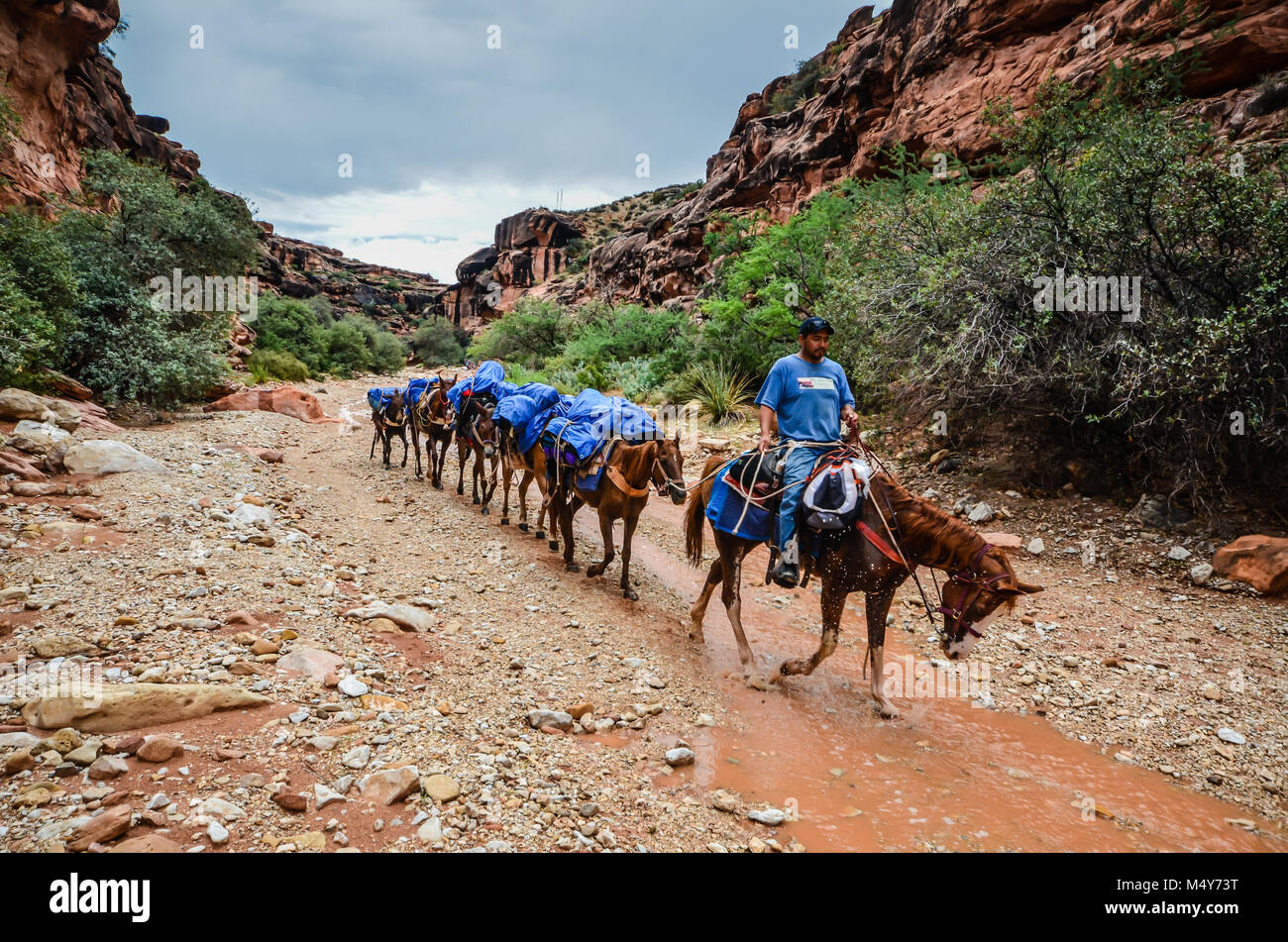 Supai Arizona