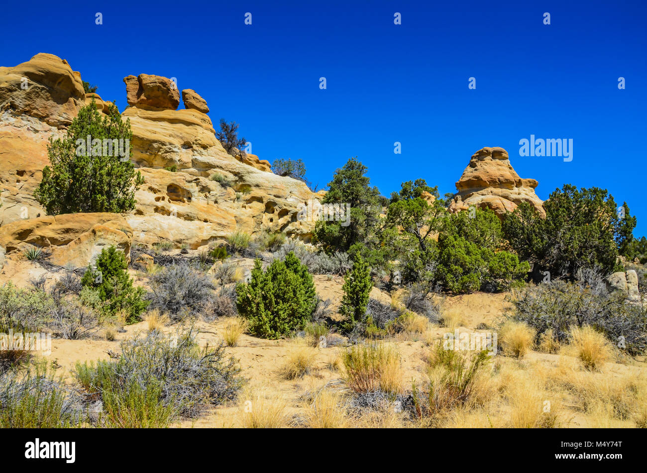 Desert rock formations on a bright blue sky day in New Mexico Stock ...