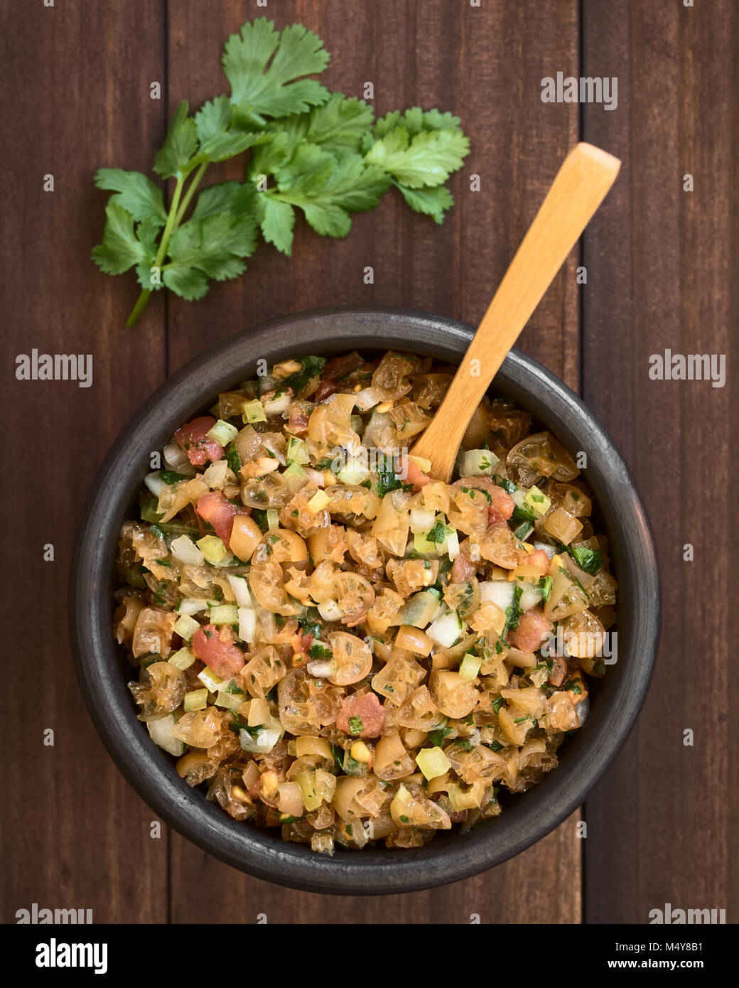 Chilean Pebre Salsa or Sauce made of Cochayuyo (lat. Durvillaea ...