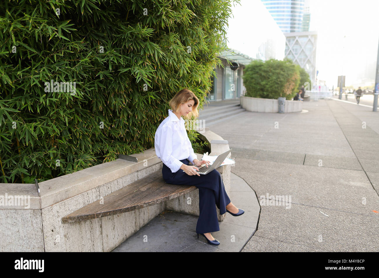 Statistician working outside with laptop and color diagrams Stock Photo ...