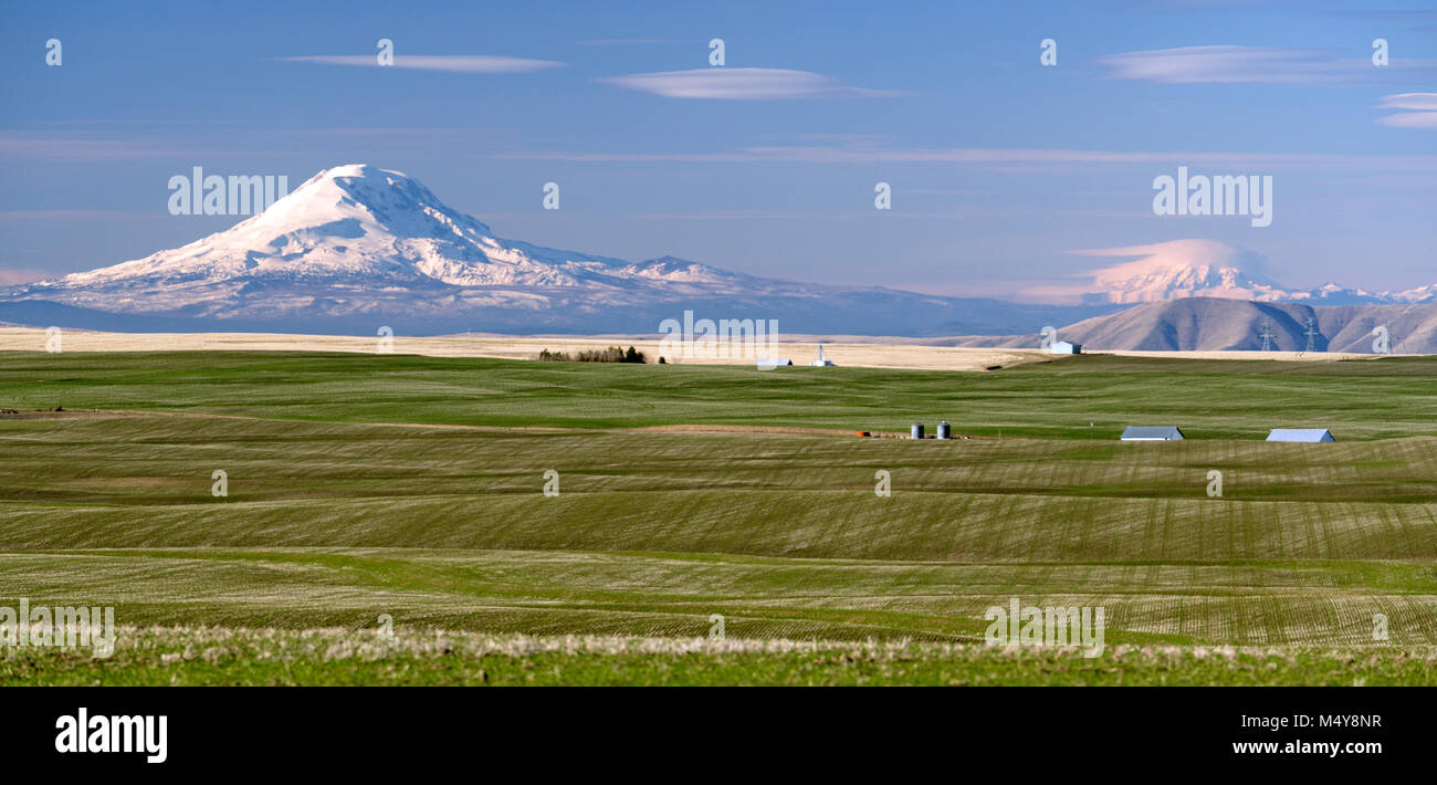 From a high ridge in Oregon State one can see Mt Rainier and Mount ...