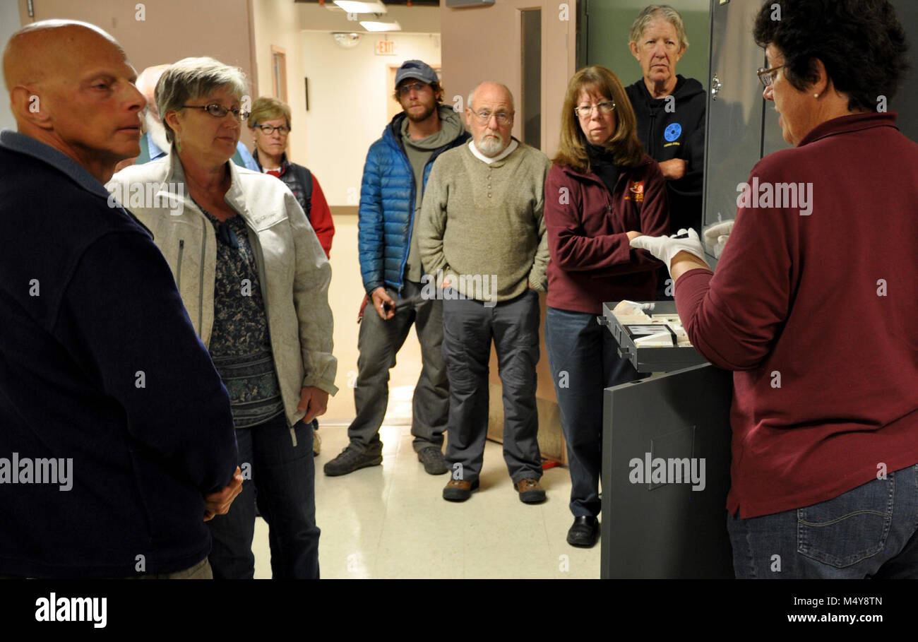 View Of Colleen Hyde Holding Fossil Specimens In Collection Room. The ...
