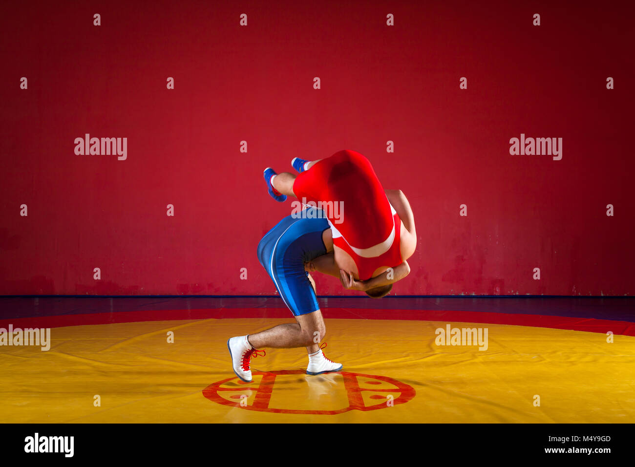 Two strong wrestlers in blue and red wrestling tights are wrestlng and ...