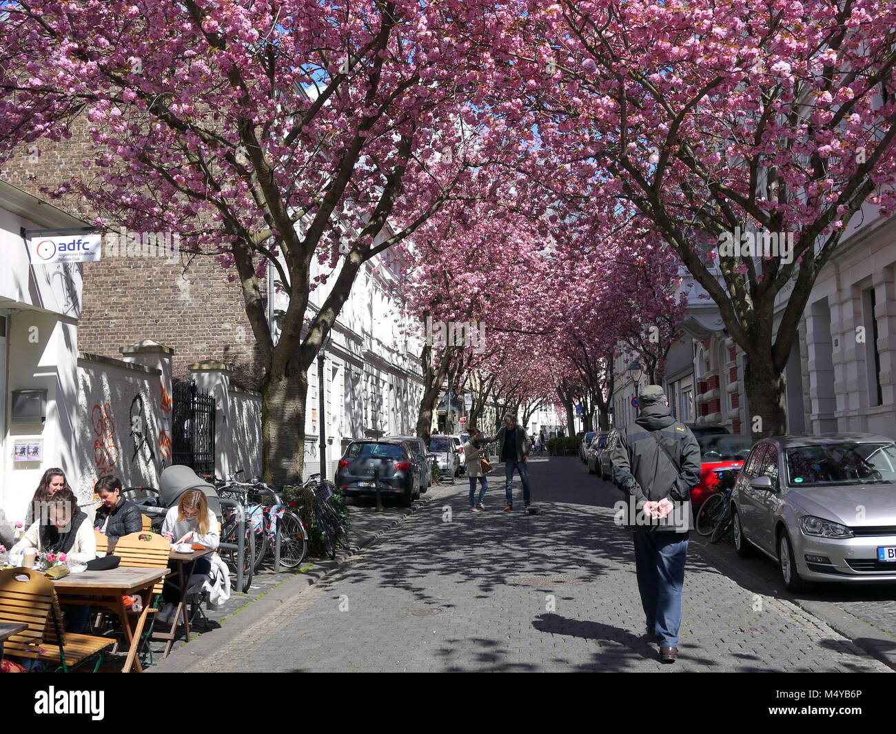 BONN, GERMANY - APRIL 18, 2016: People walking under rows of cherry ...