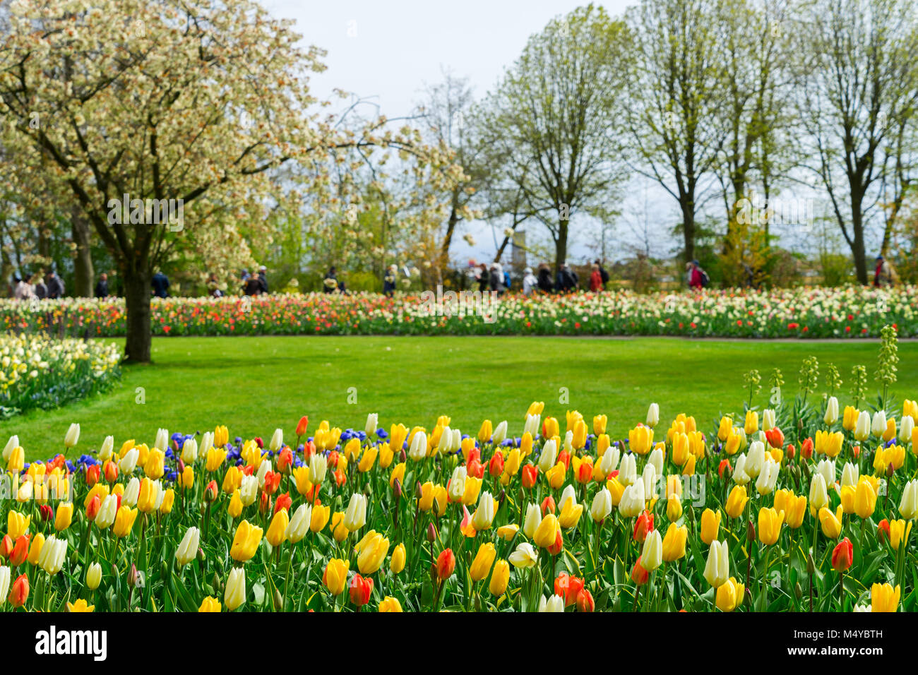 Formal spring garden Stock Photo - Alamy