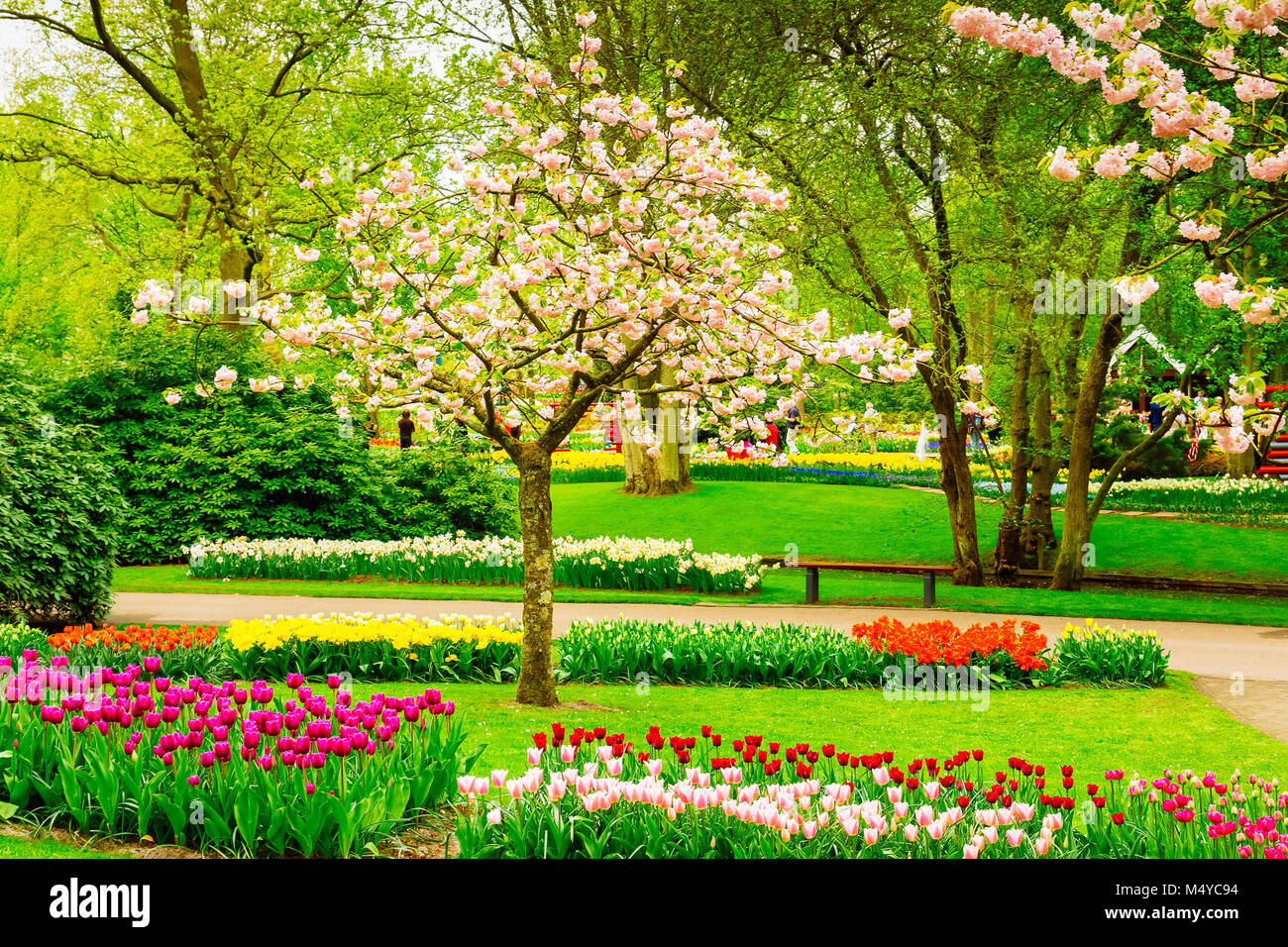 Formal spring garden Stock Photo - Alamy