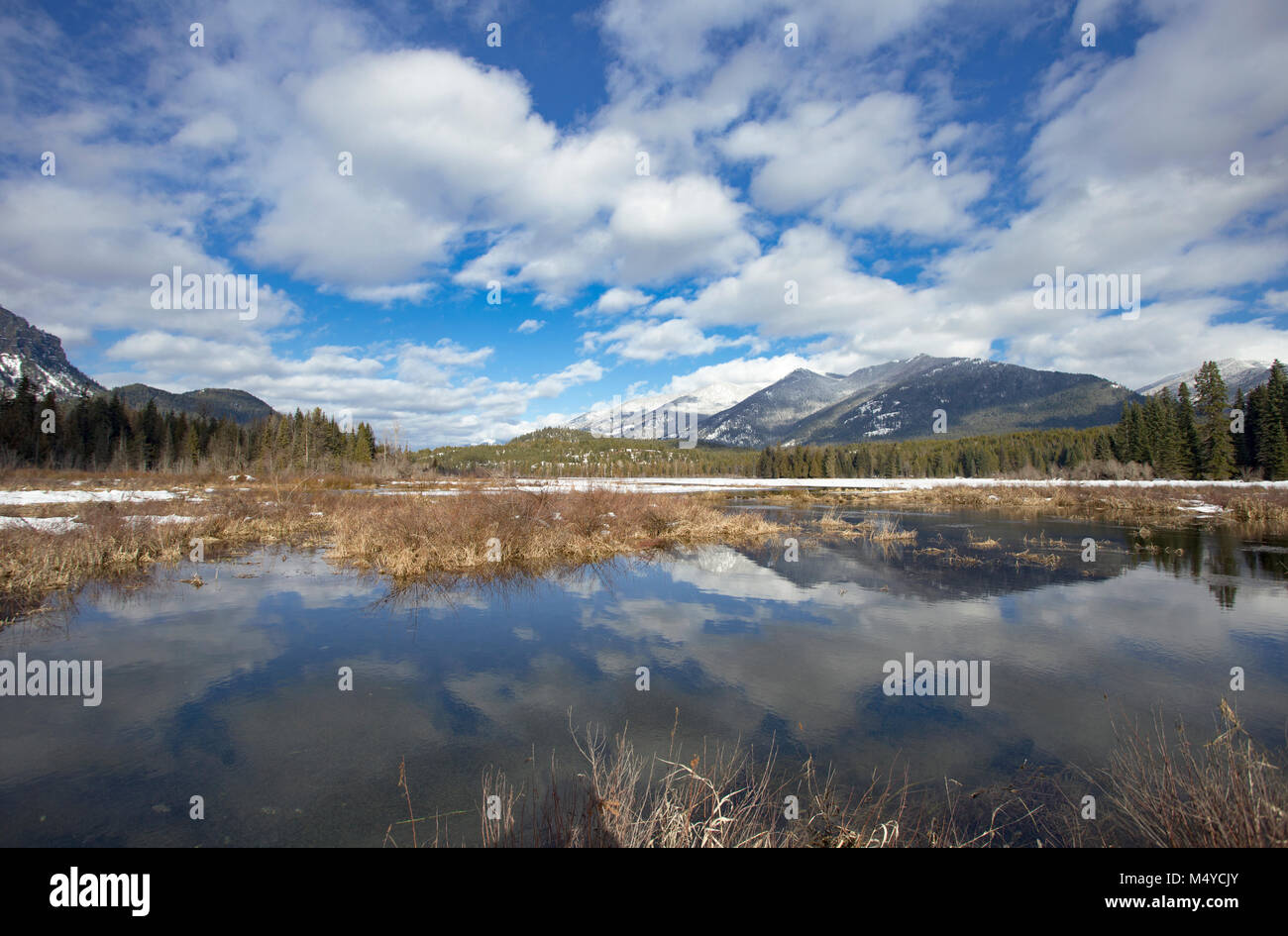 Reflections of the Cabinet Mountains in a marshy area of Bull River ...