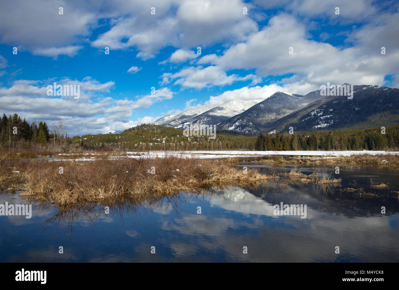 Cabinet mountains hi-res stock photography and images - Alamy