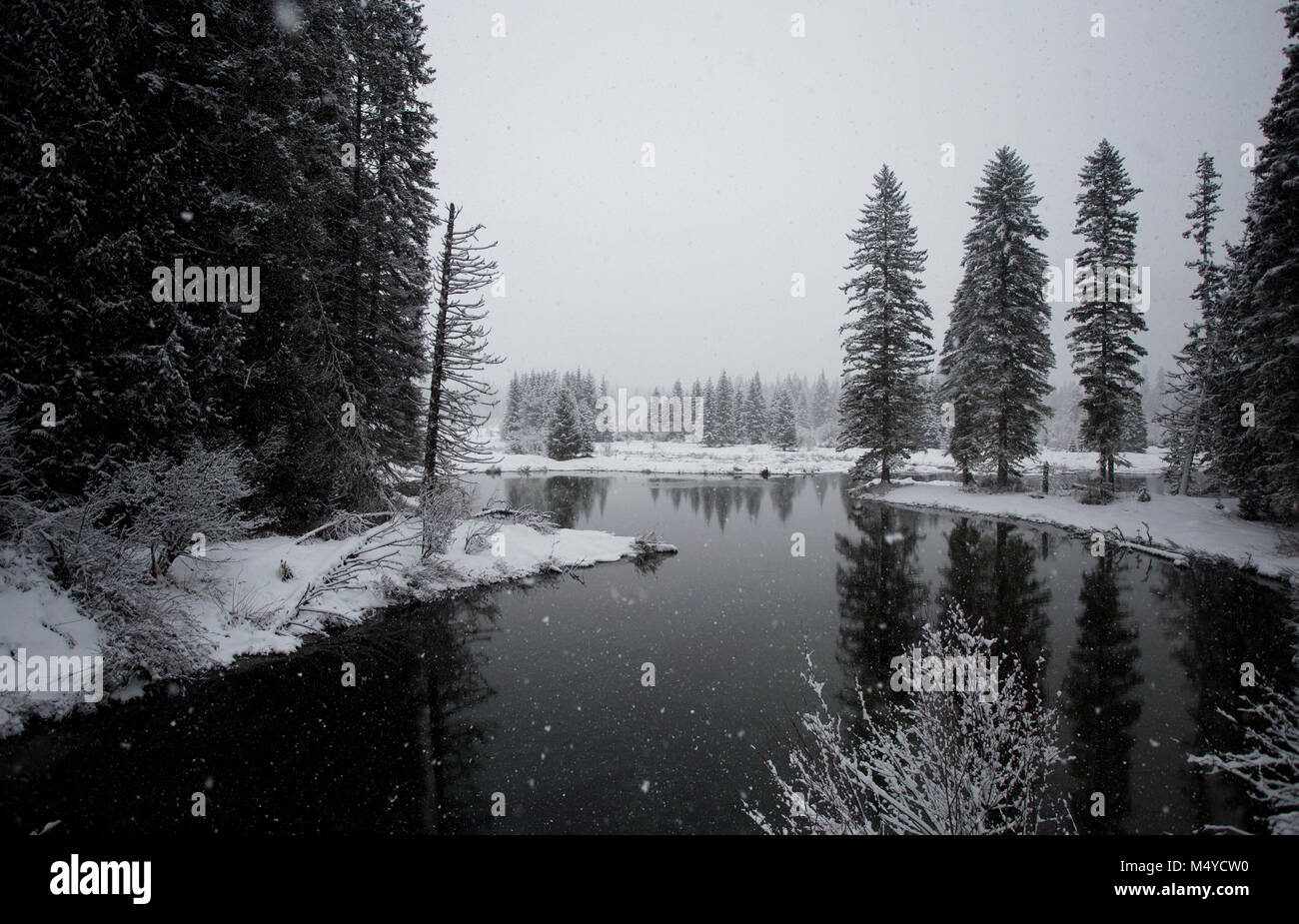 Snow on Moose Pond, along Bull River, in the Cabinet Mountains. Moose ...