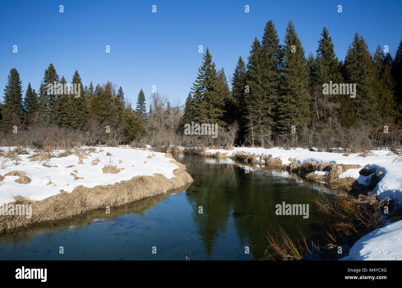 A bend in Bull River as it winds winds north through the Cabinet ...