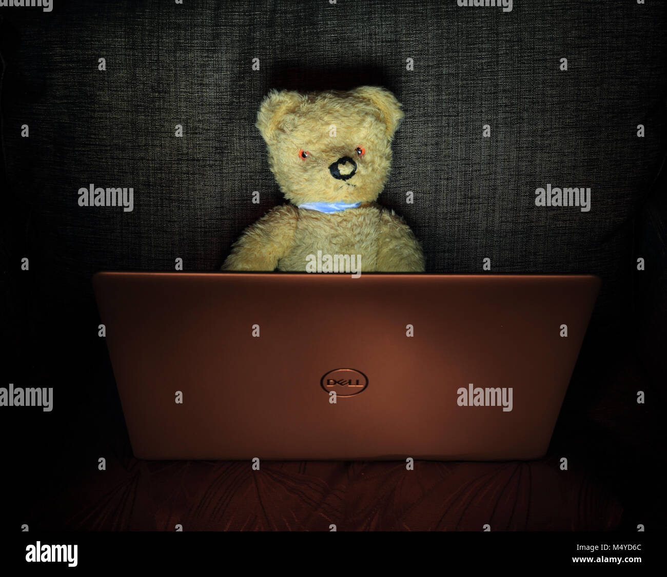 An old much loved teddy bear appearing to use a laptop Stock Photo - Alamy
