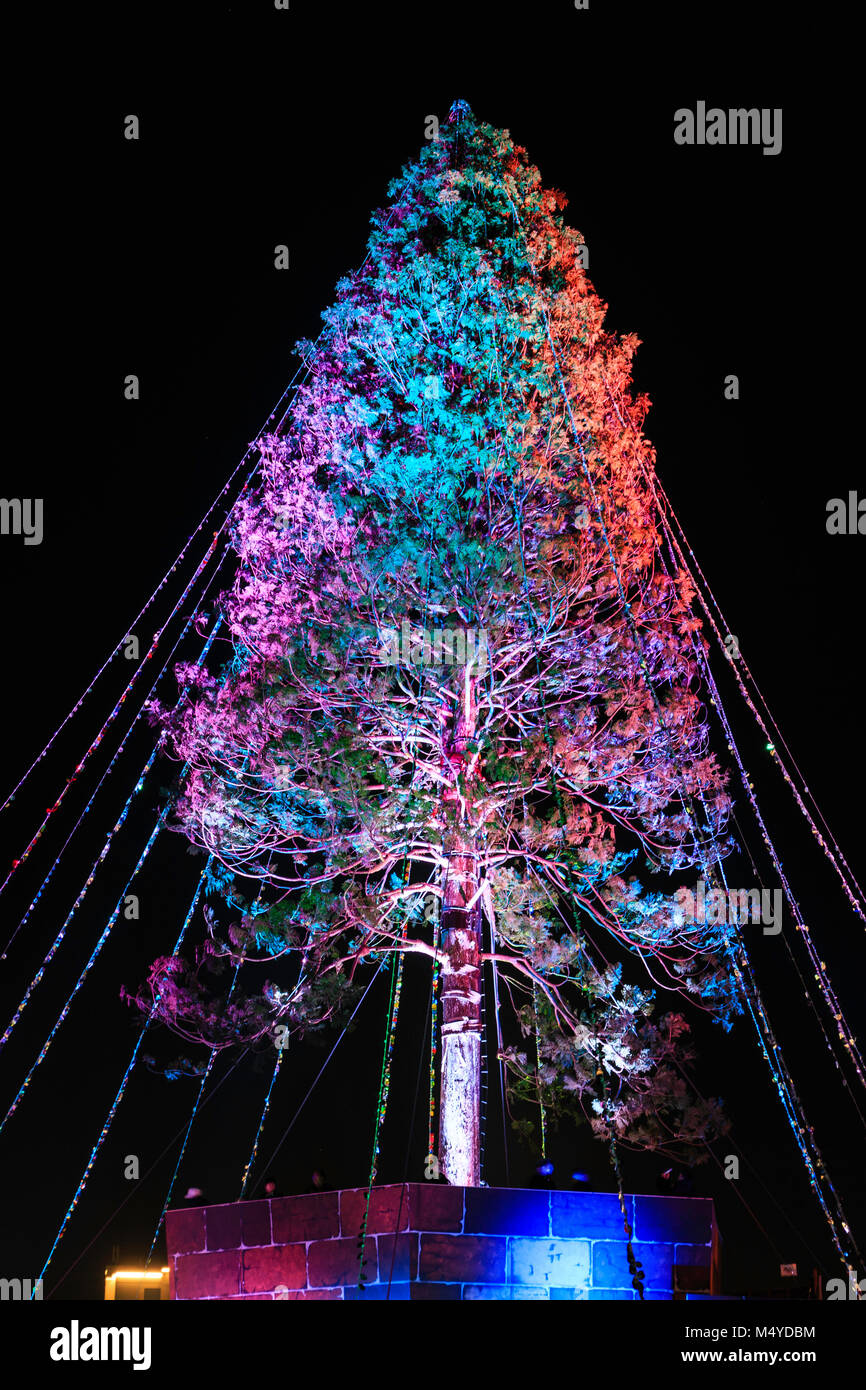 Japan, Kobe. Night time view of the 'World's Number-one Christmas Tree ...