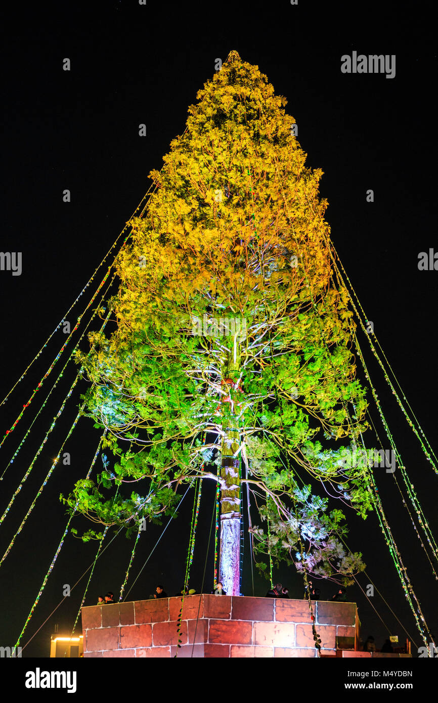 24 meter hi-res stock photography and images - Alamy