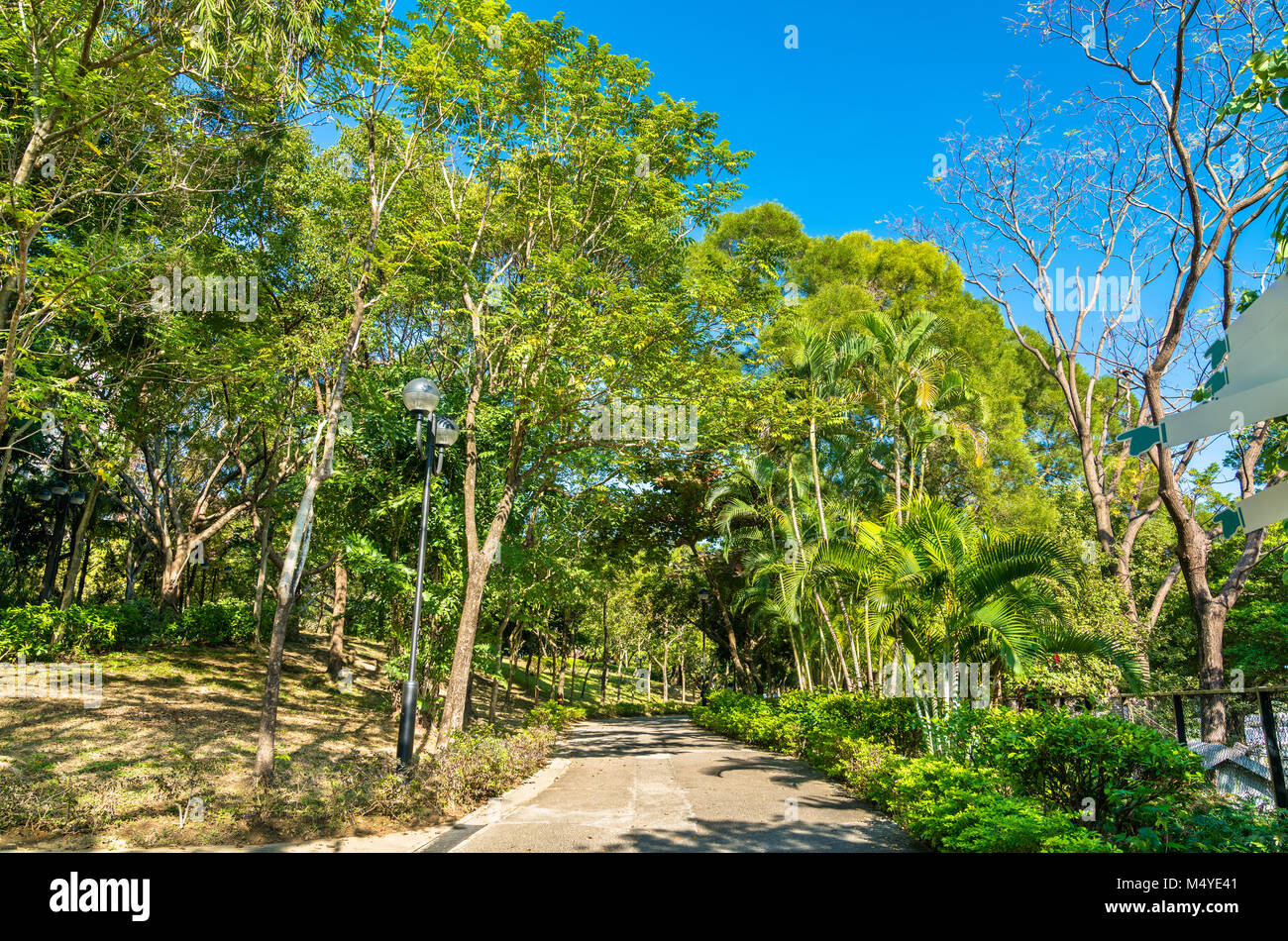Sha Tin Park in Hong Kong, China Stock Photo - Alamy