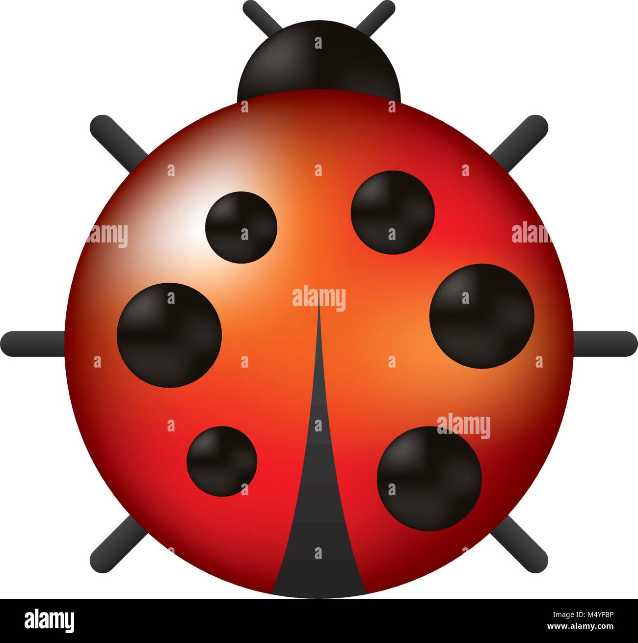 cute ladybug dotted animal insect wildlife Stock Vector Image & Art - Alamy