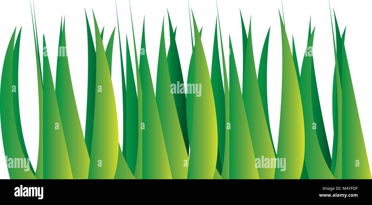 green grass frond natural foliage icon Stock Vector Image & Art - Alamy