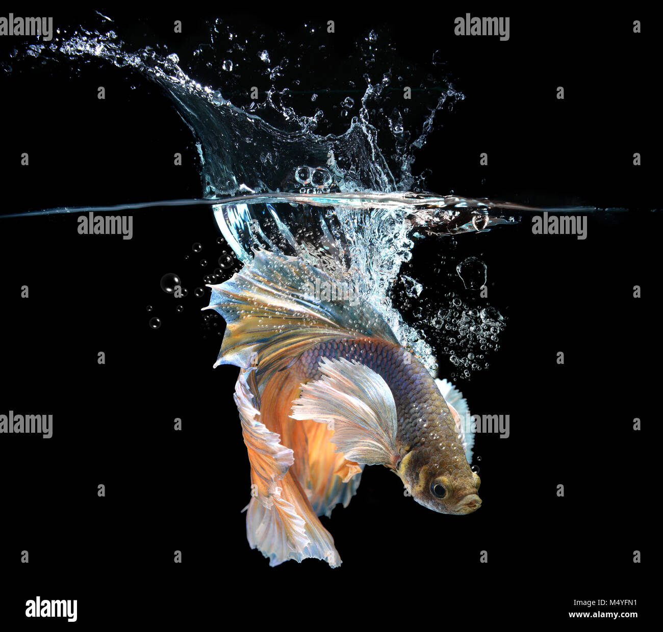 Swimming action hi-res stock photography and images - Alamy