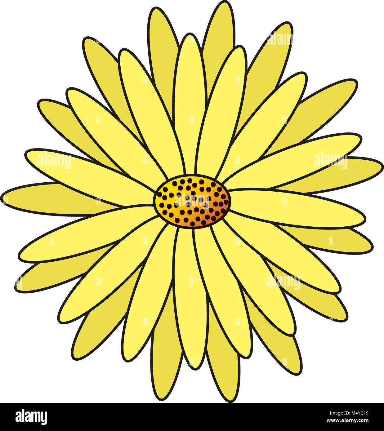 beautiful natural flower daisy petals decoration Stock Vector Image ...