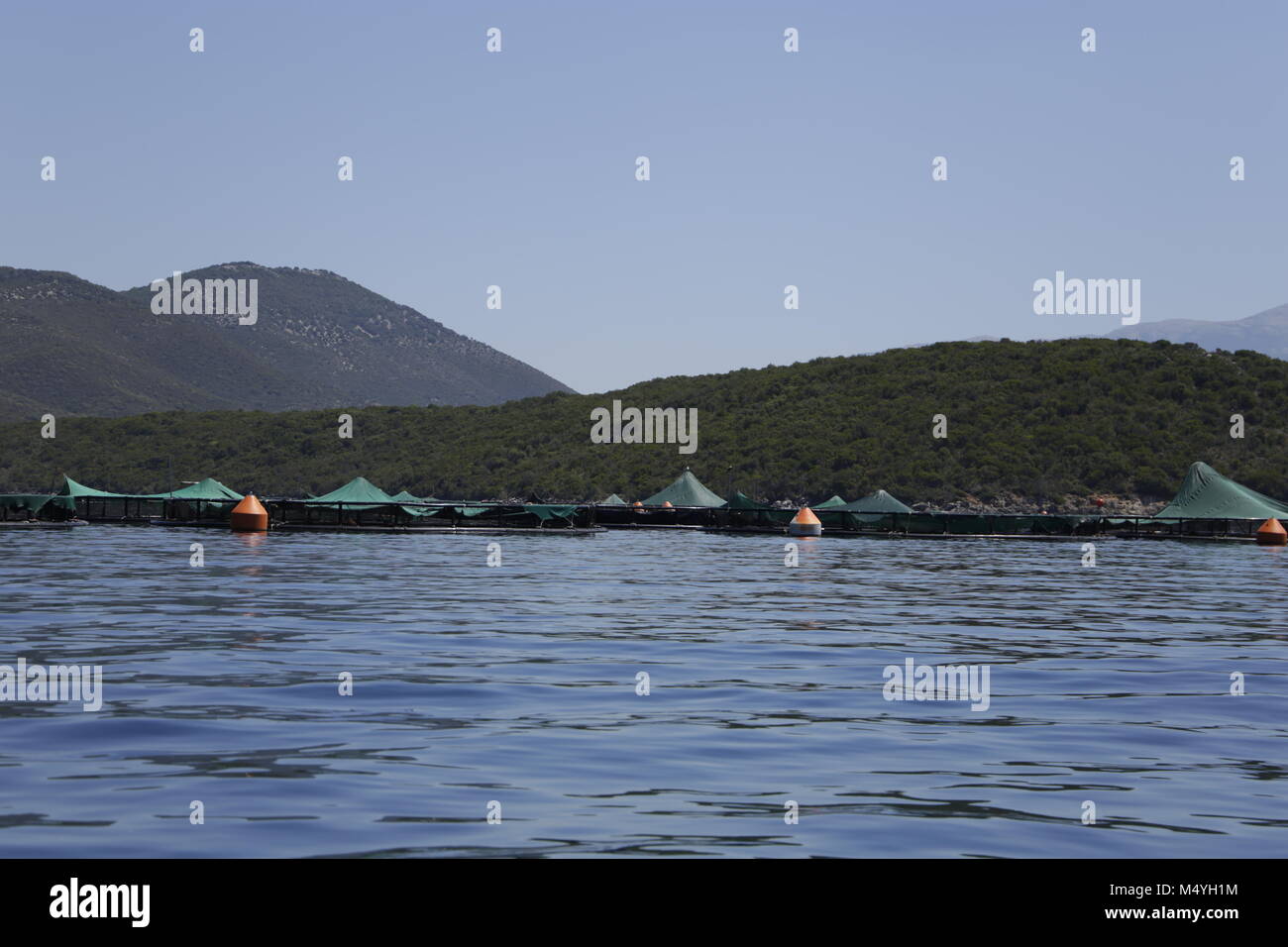 Fish breeding place in the sea Stock Photo - Alamy