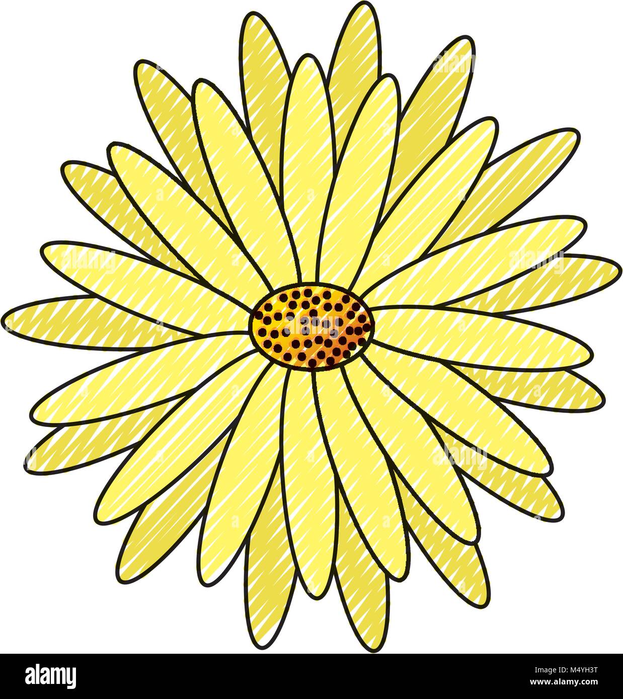 beautiful natural flower daisy petals decoration Stock Vector Image ...