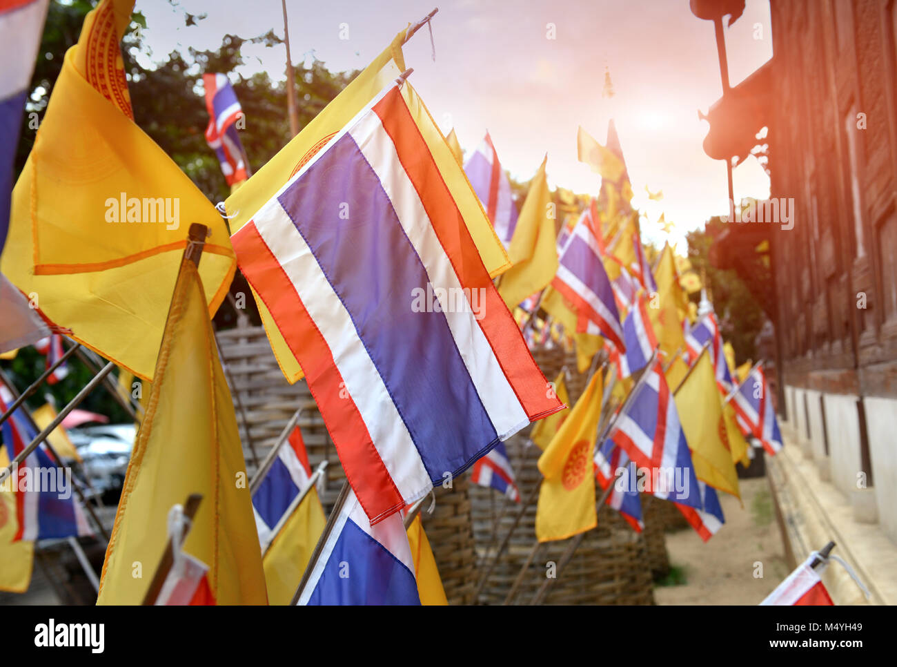 Thai flags and buddhism yellow flags in the temple photo in sunset ...