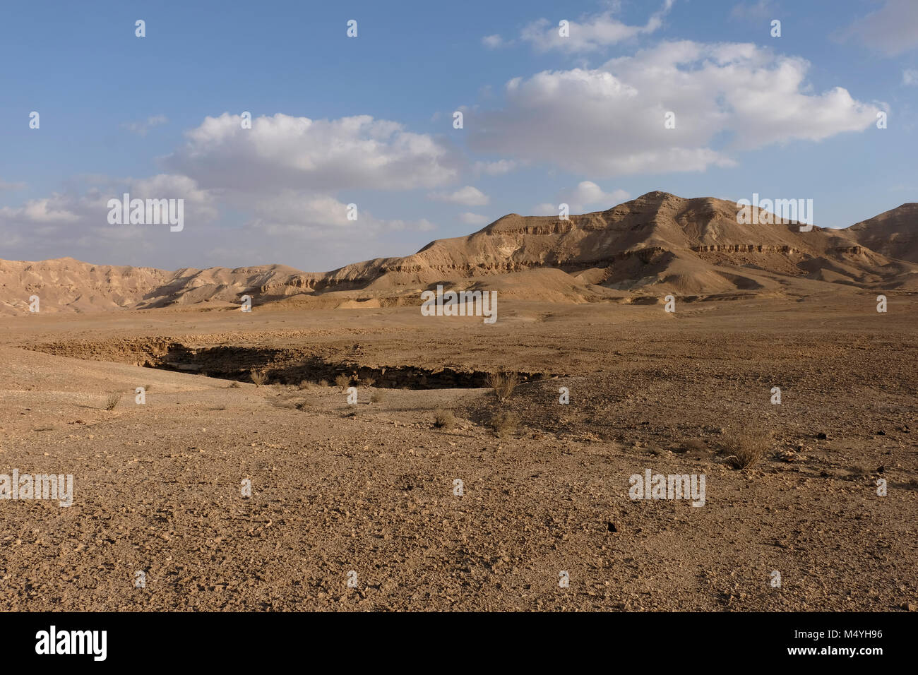 Scenic view in the Large Makhtesh Ramon Crater a geological landform ...