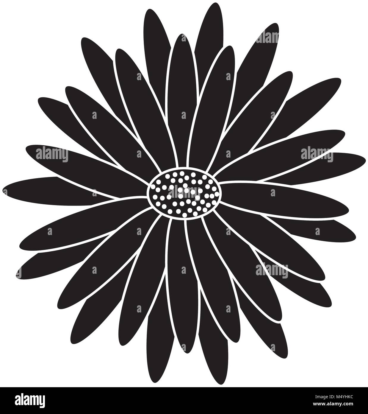 beautiful natural flower daisy petals decoration Stock Vector Image ...