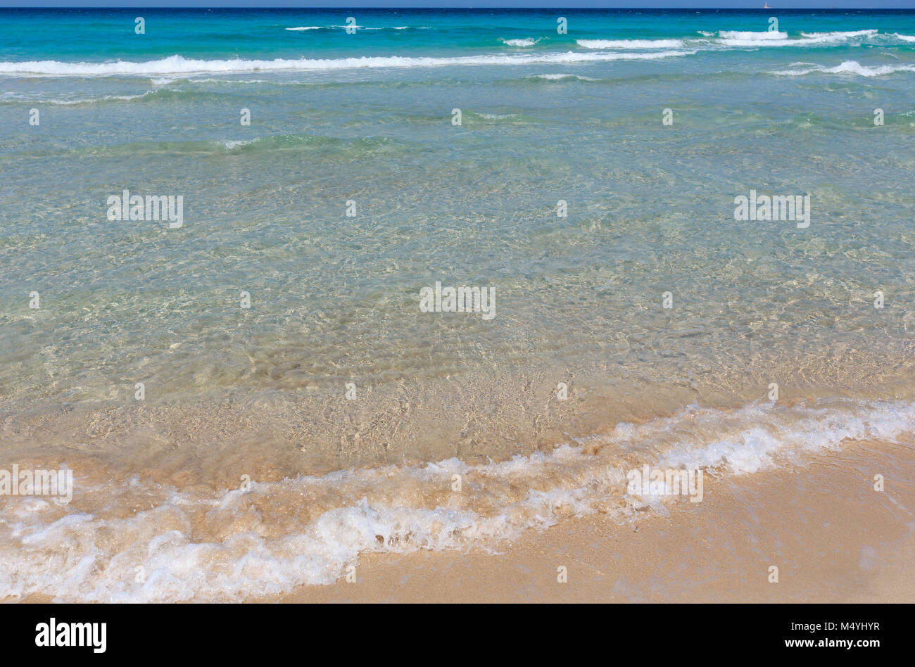 Sea surf on beach hi-res stock photography and images - Alamy