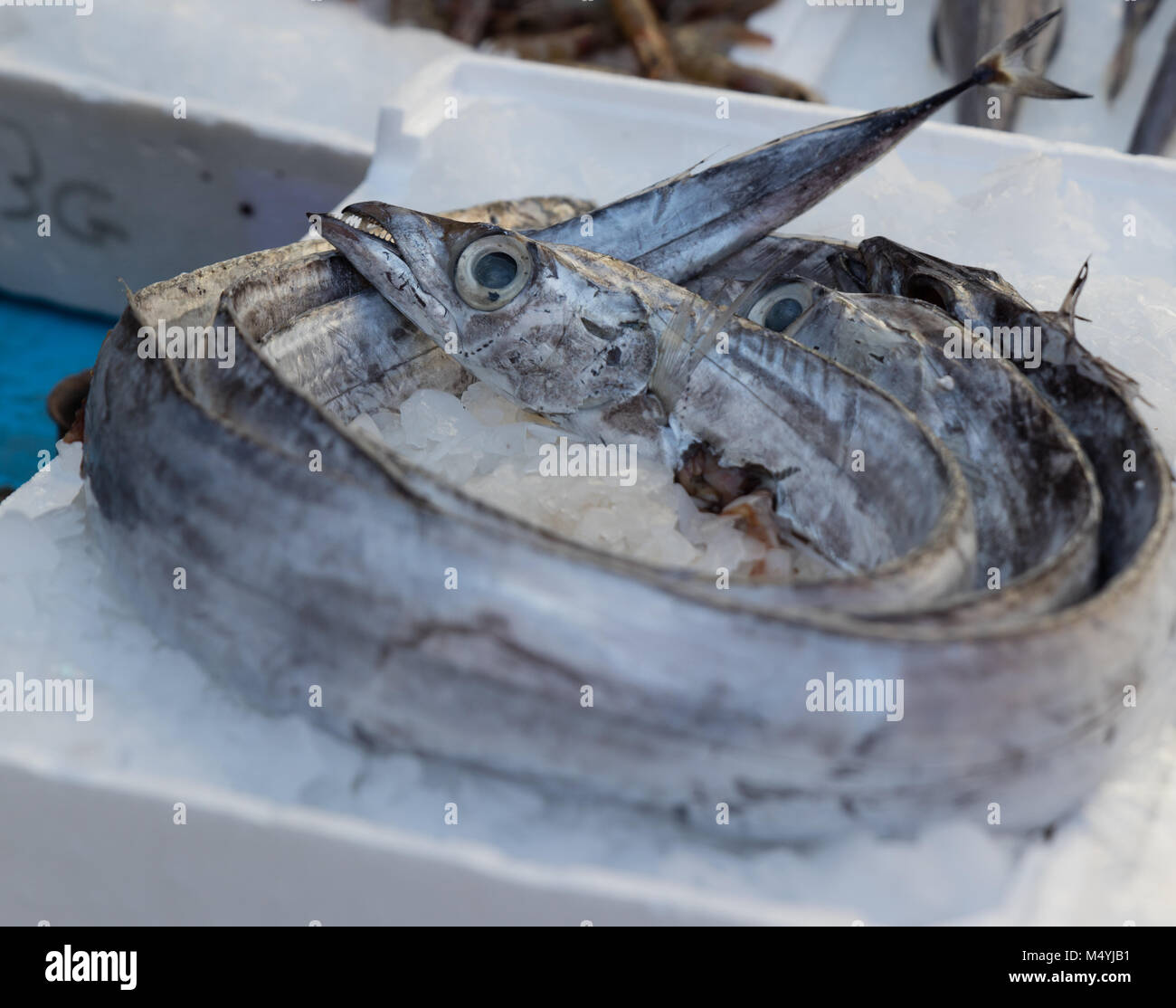 Mediterranean fish exposed Stock Photo - Alamy