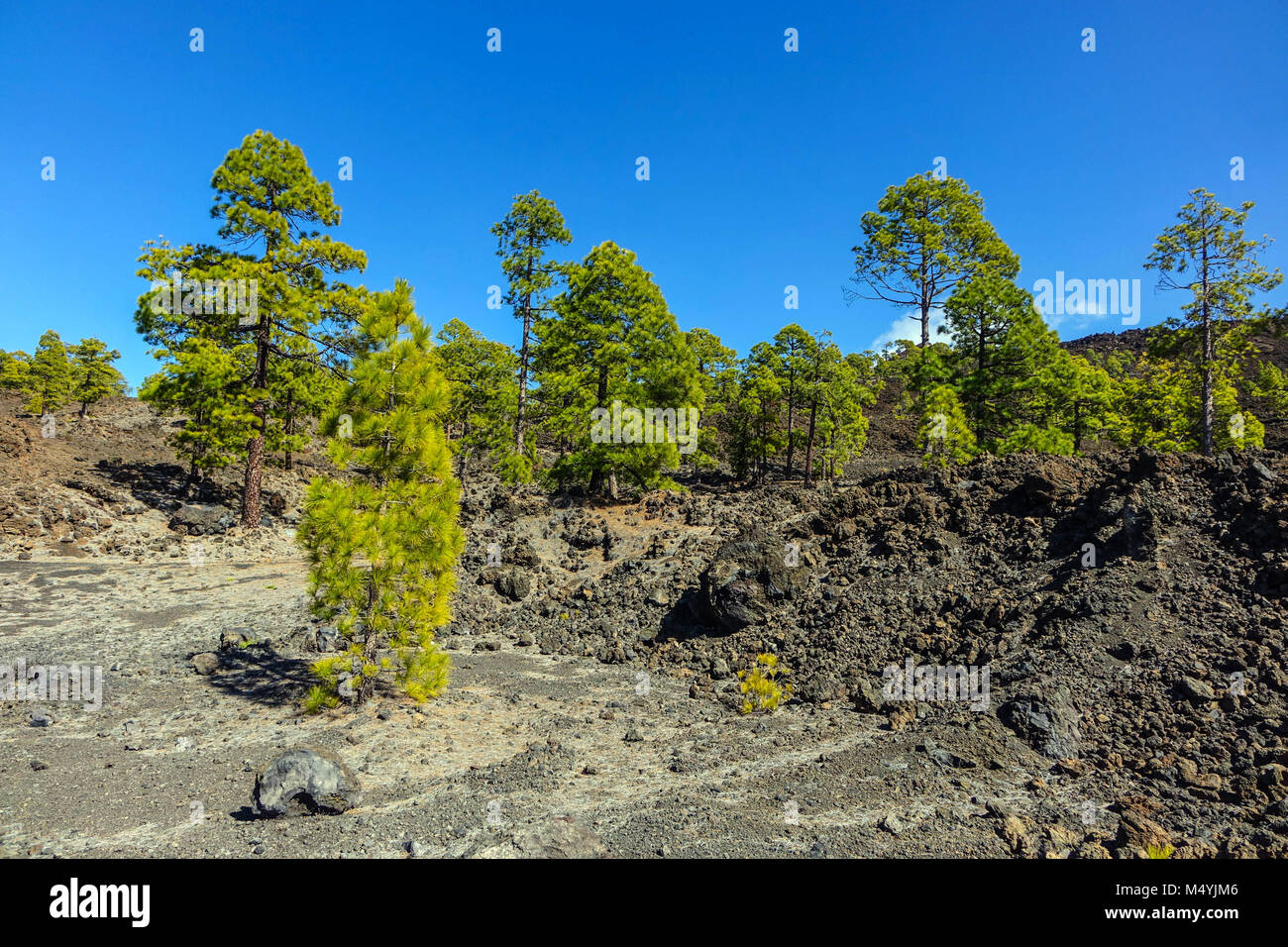 Basalt lava hi-res stock photography and images - Alamy