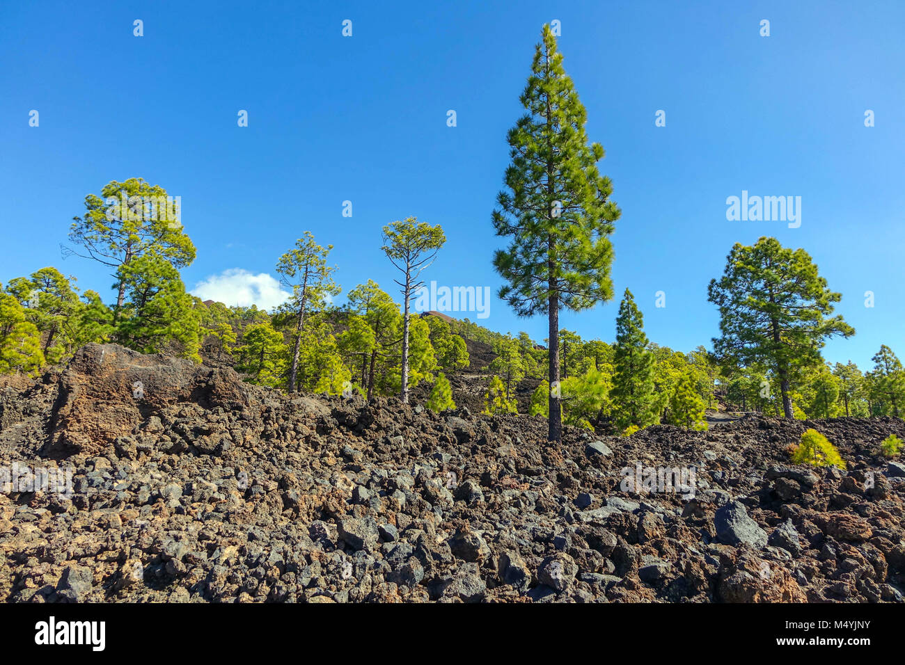 Basalt lava hi-res stock photography and images - Alamy