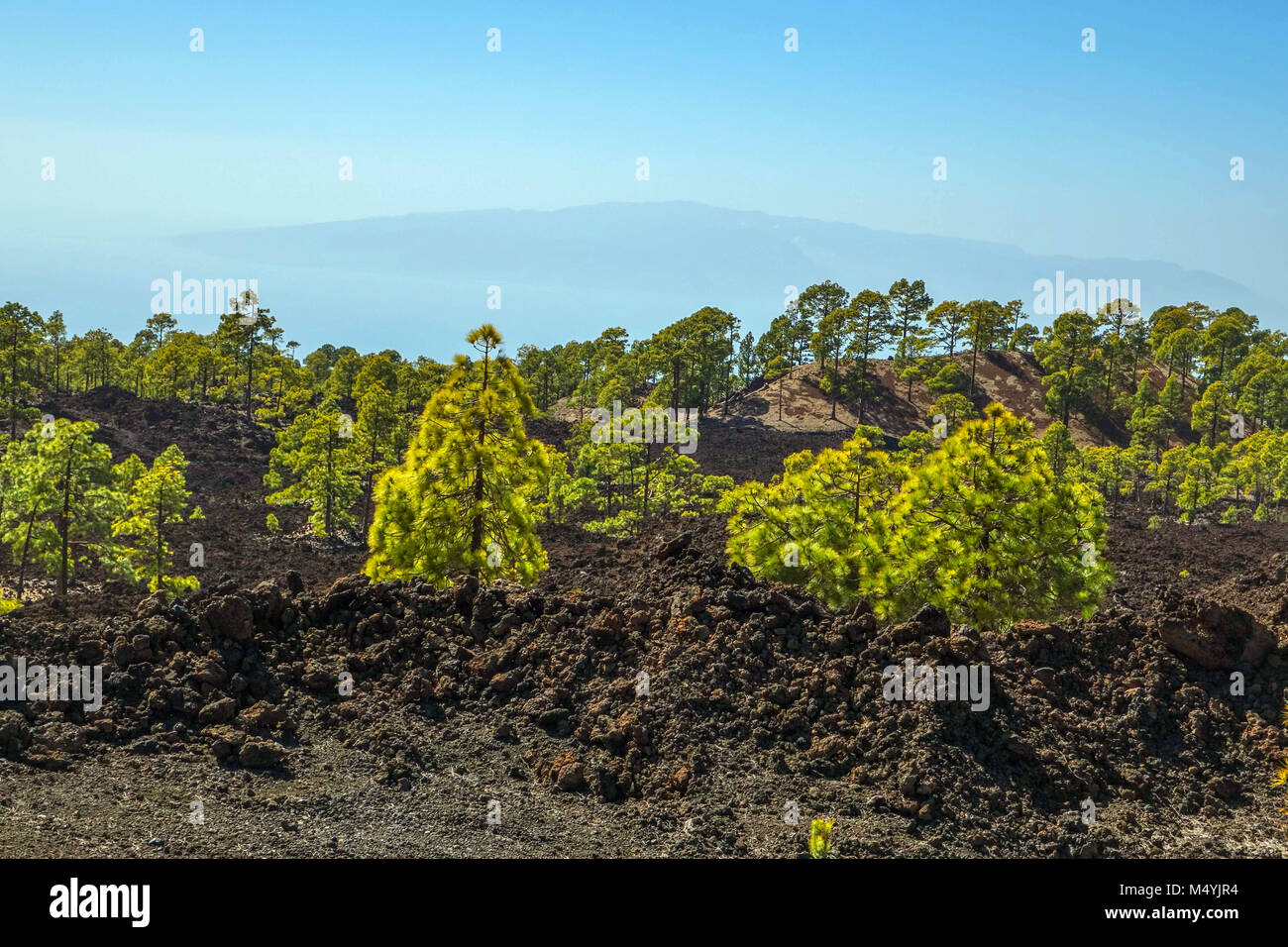 Basalt lava hi-res stock photography and images - Alamy