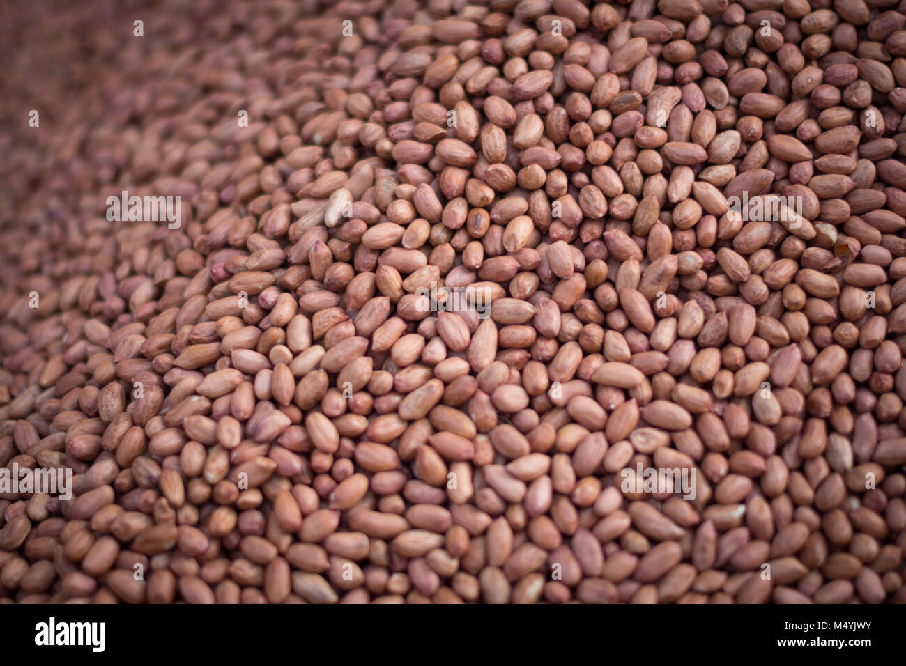 Toasted peanuts full screen Stock Photo - Alamy