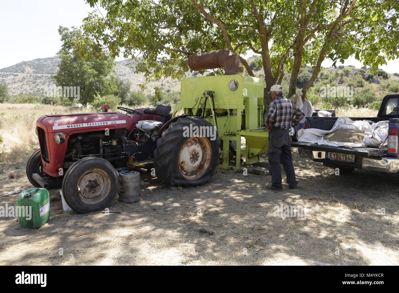 Farmer sorting lentils in a machine Stock Photo - Alamy