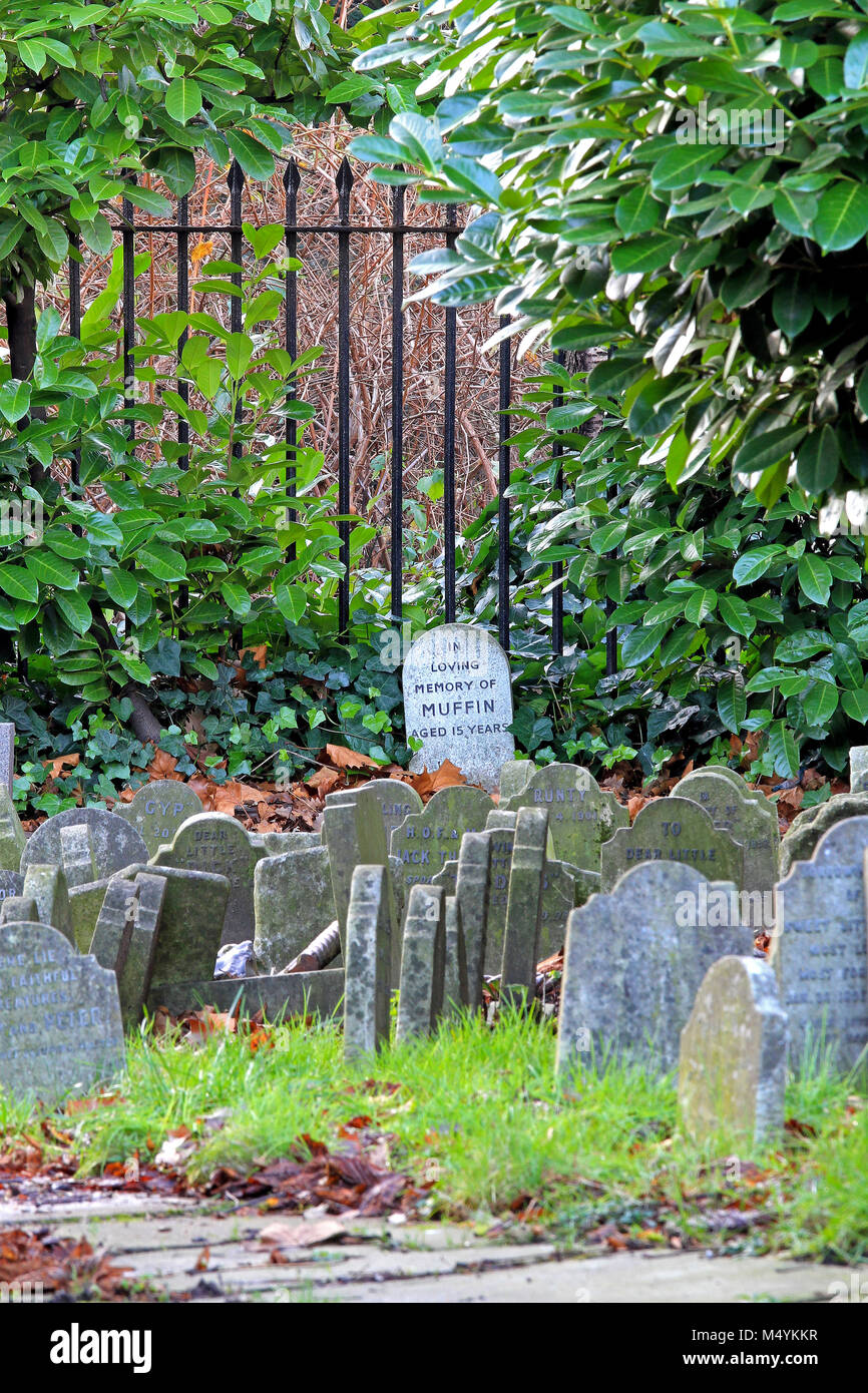 Pet graves hi-res stock photography and images - Alamy