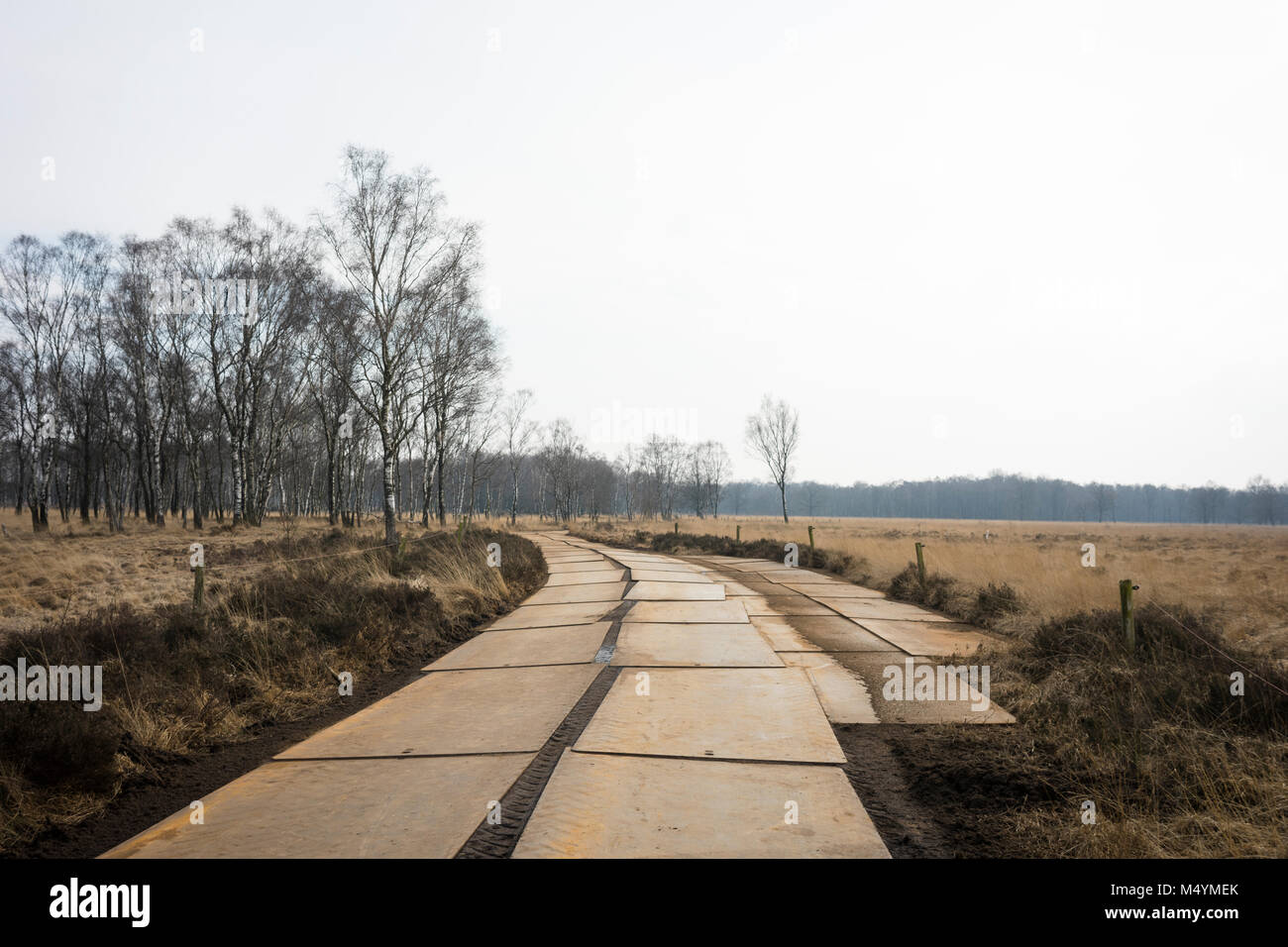 Temporary road of iron plates due to nature restoration at nature ...