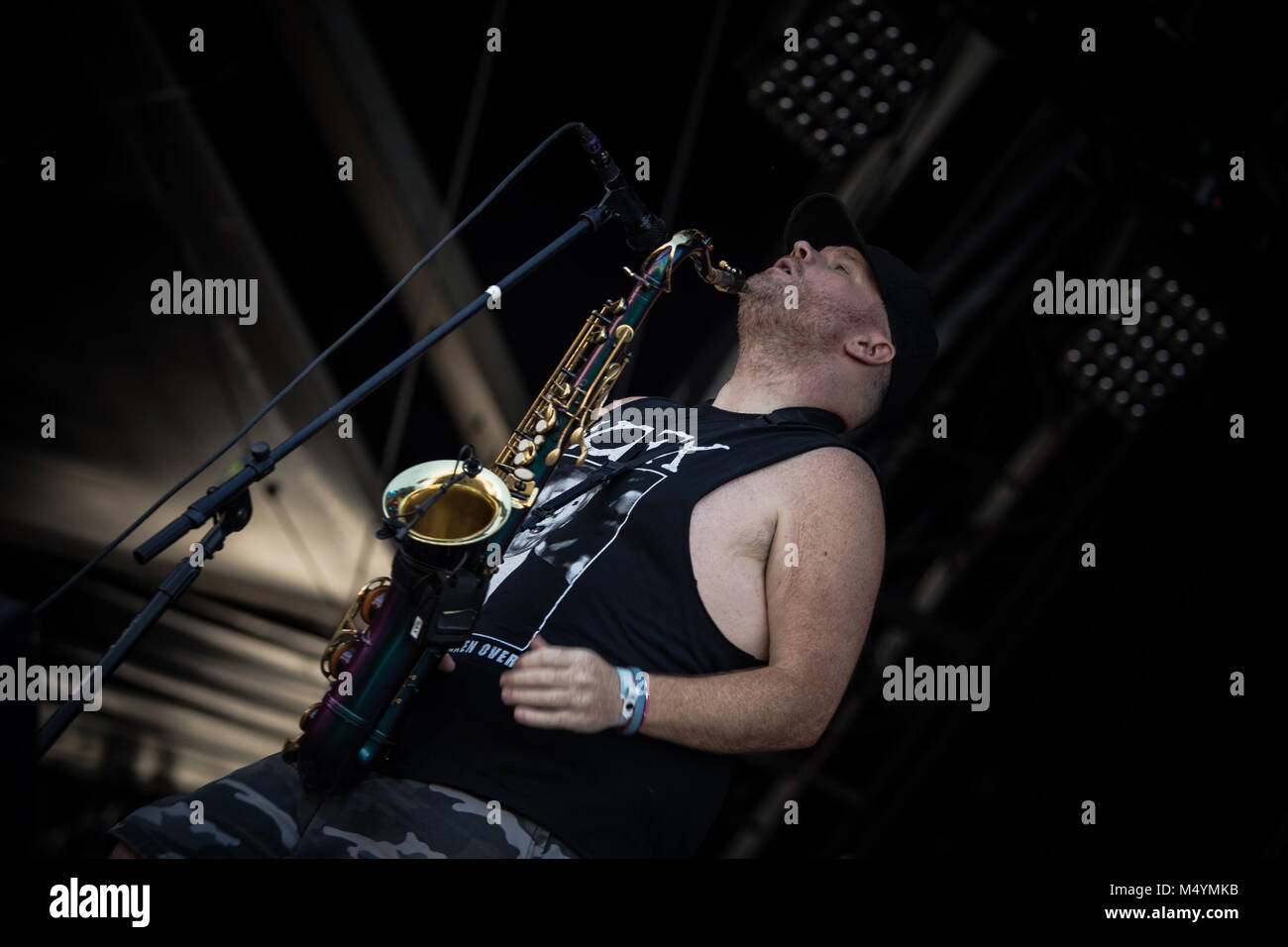 Less than Jake Stock Photo - Alamy