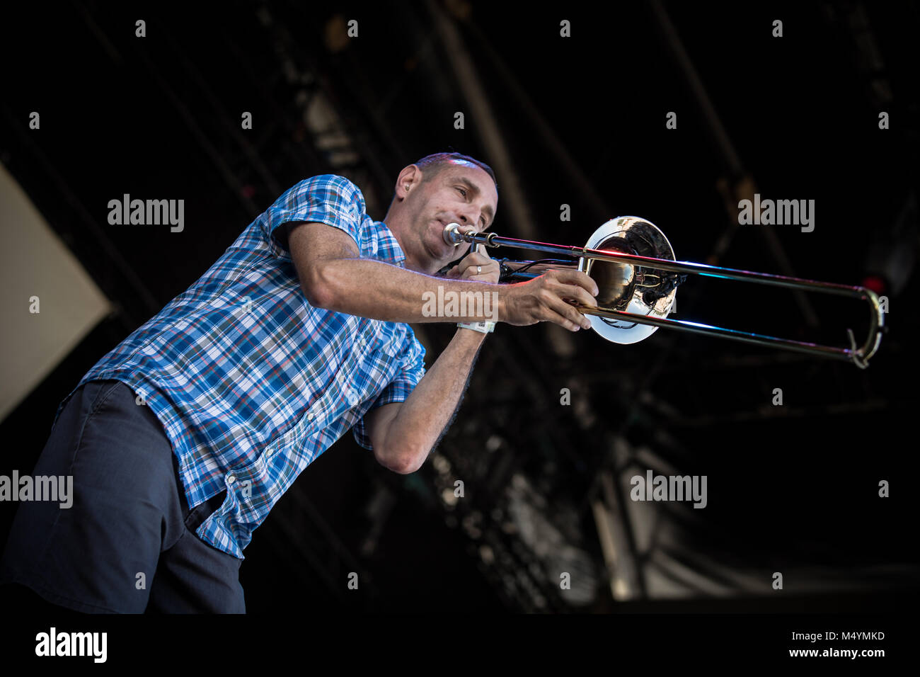 Less than Jake Stock Photo - Alamy
