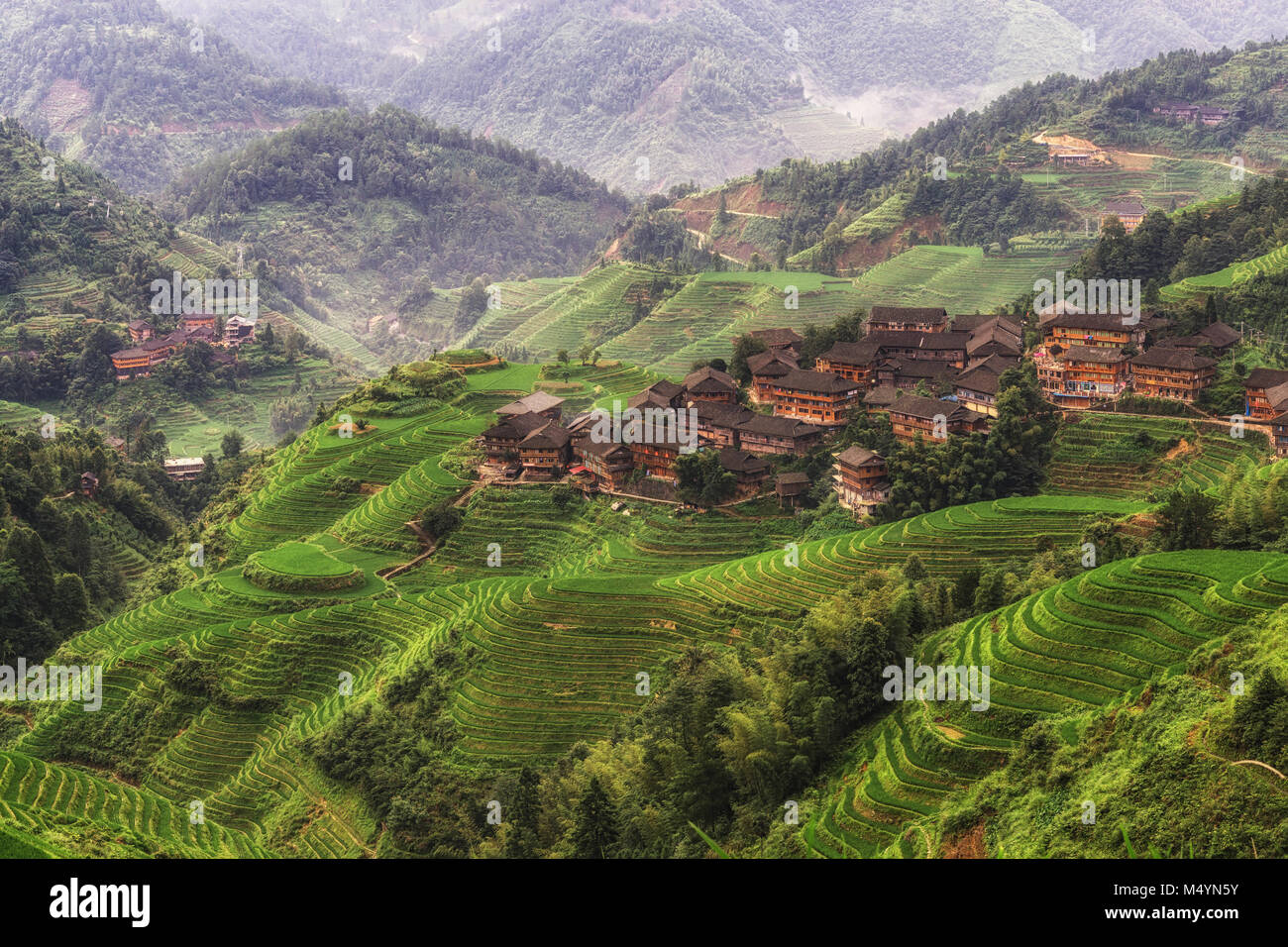 longji rice terrace Stock Photo - Alamy