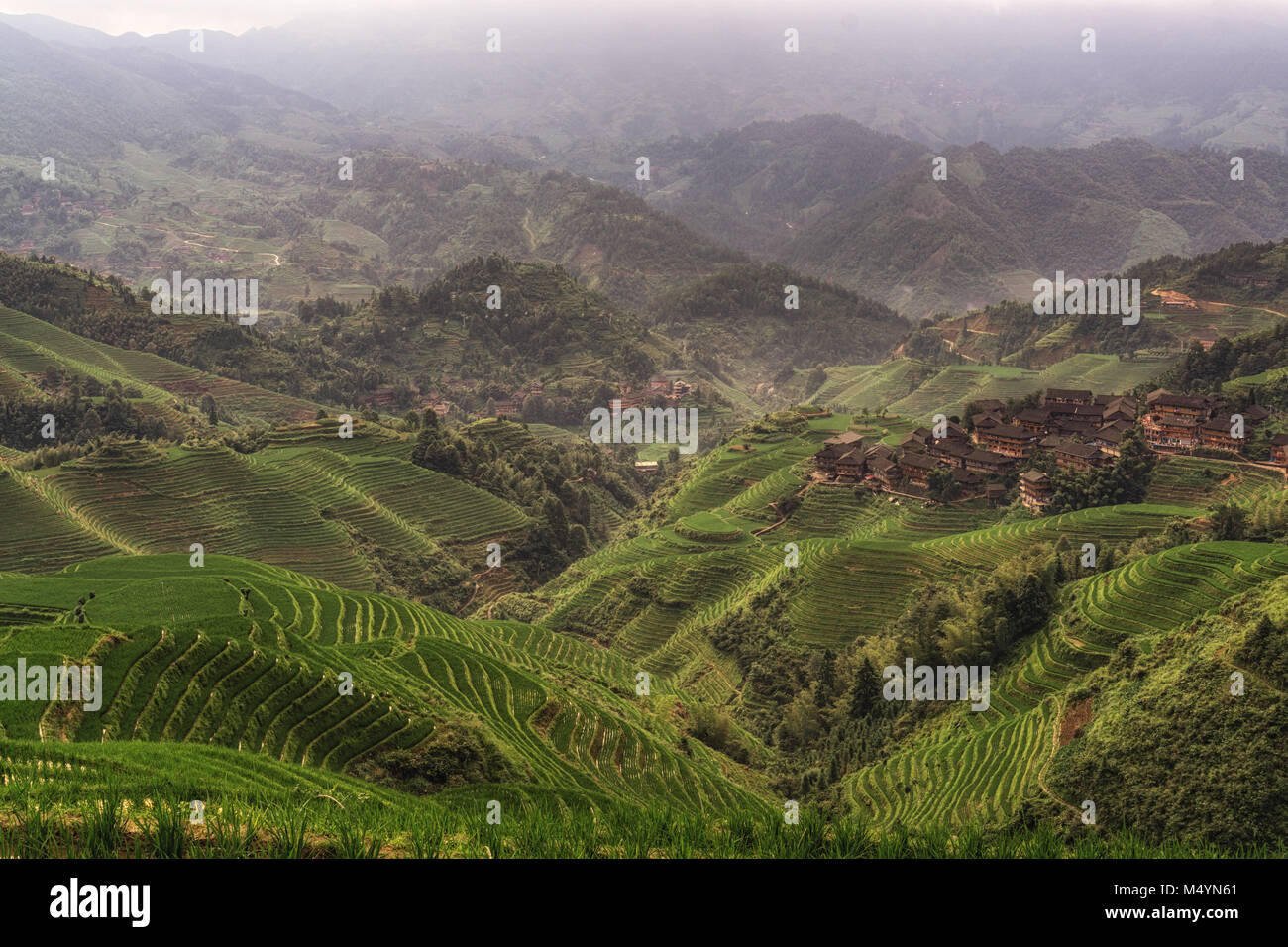 longji rice terrace Stock Photo - Alamy
