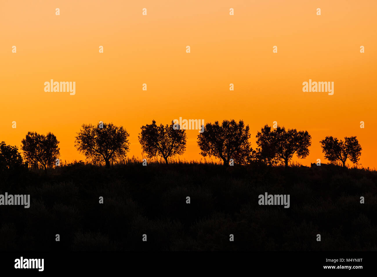 Valley in tuscany sunset hi-res stock photography and images - Alamy
