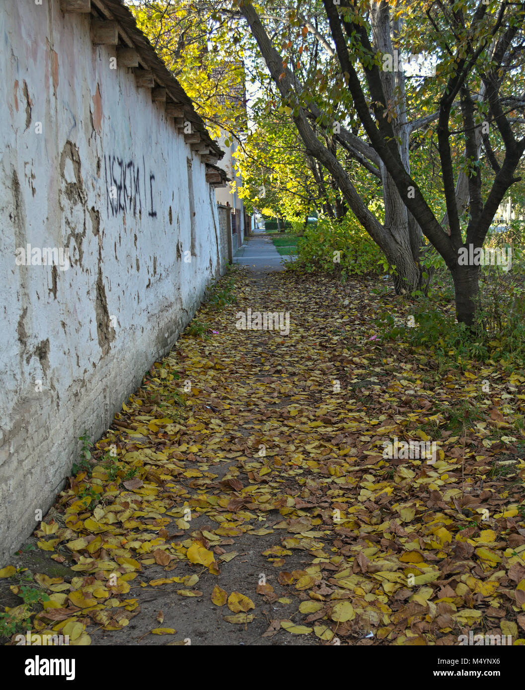 Empty sidewalk hi-res stock photography and images - Alamy