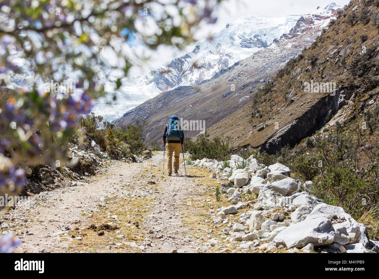 Hike in Peru Stock Photo - Alamy