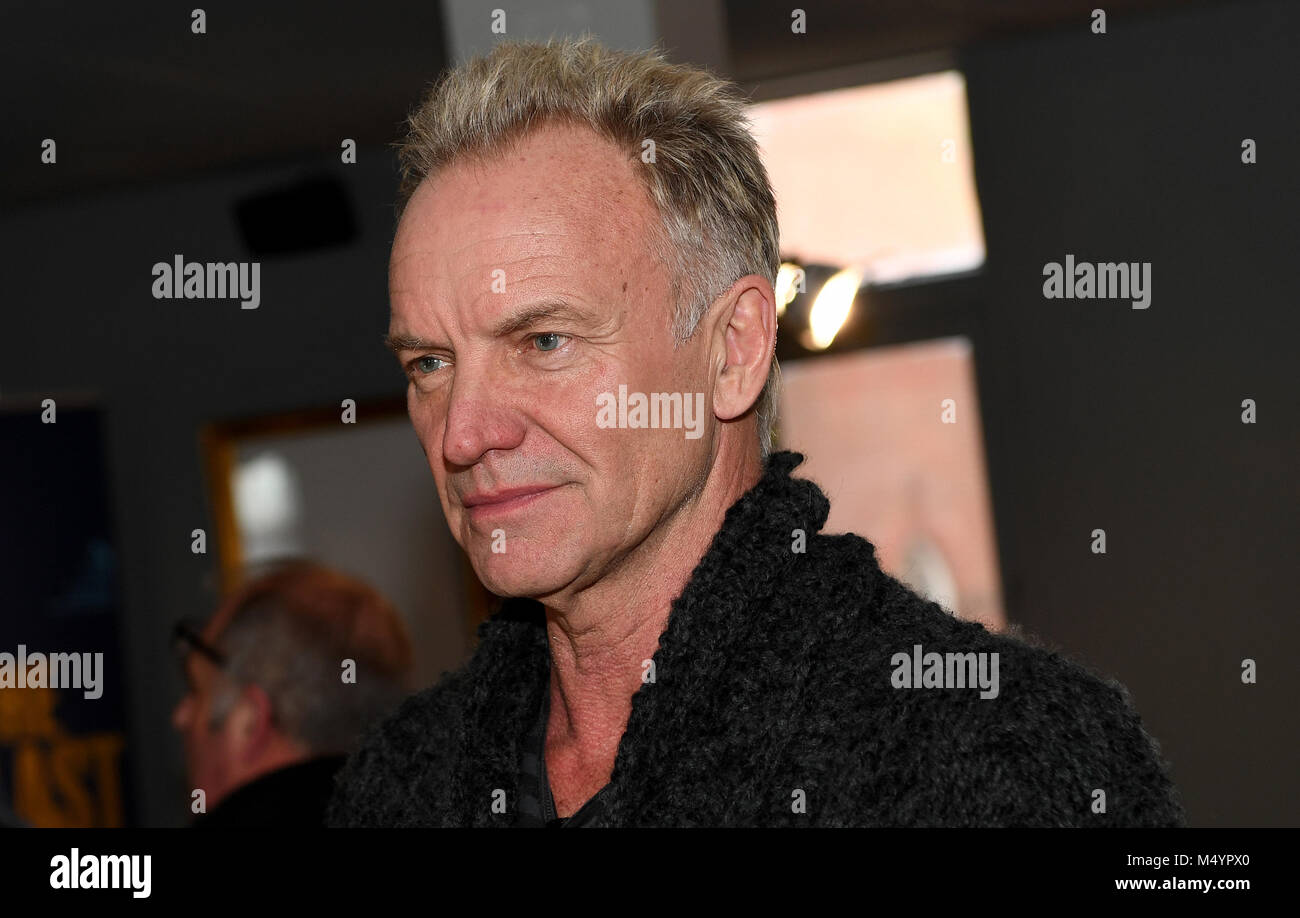 Sting singer hi-res stock photography and images - Alamy